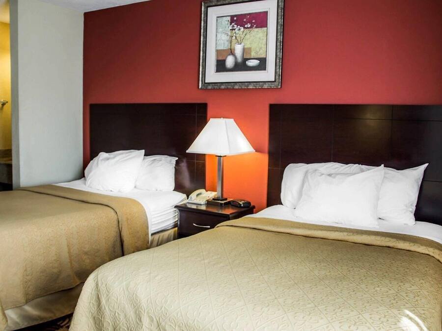 Quarto de hotel com duas camas, mesa de cabeceira com abajur, telefone e quadro na parede.