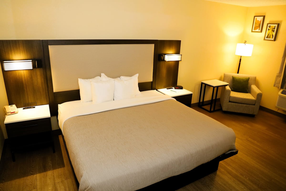 Quarto standard, 1 cama King, para não fumantes | Cofres nos quartos, cortinas blackout, ferros/tábuas de passar roupa