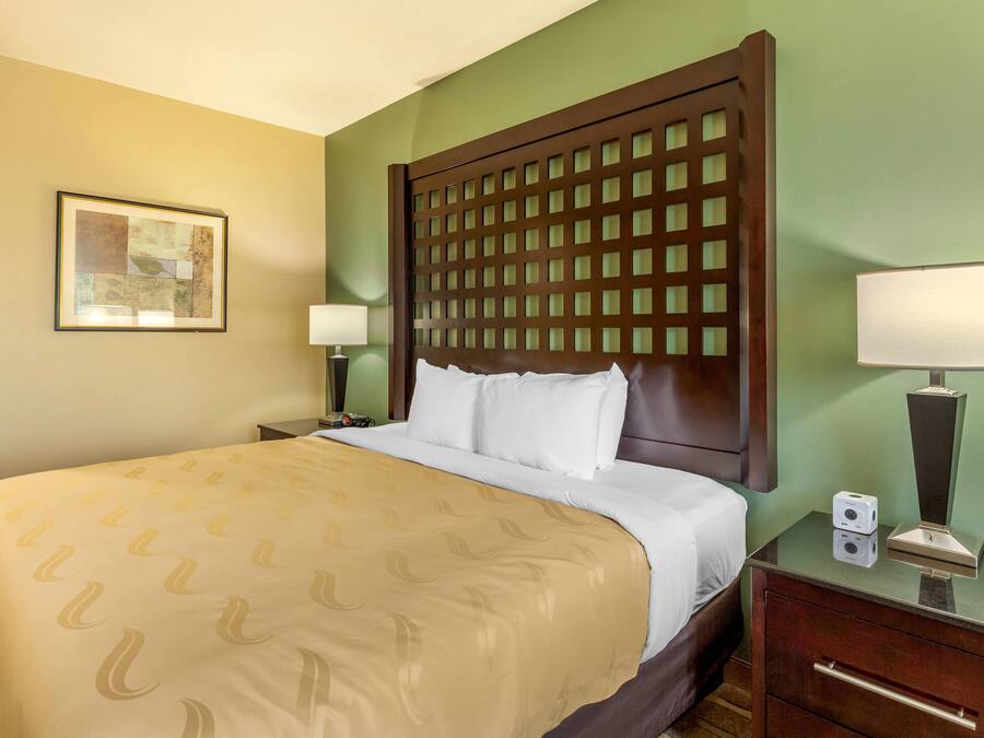 Quarto de hotel com uma cama grande, cabeceira de madeira, duas mesas de cabeceira com abajures, um quadro na parede e uma parede verde decorativa.