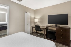 Suíte, 1 cama Queen, para não fumantes, geladeira (with Single Sofabed) | 1 quarto, cofres nos quartos, espaço de trabalho para notebook