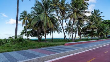 Um caminho pavimentado com palmeiras e vista para o oceano.