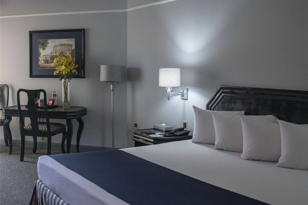 Quarto de hotel com cama, escrivaninha com cadeira, luminária e quadro na parede.