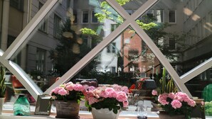 Janela com vista para um edifício e alguns vasos de plantas.