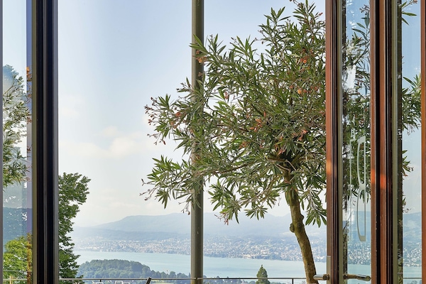 Pequenos-almoços, almoços, jantares servidos, com vista para o jardim