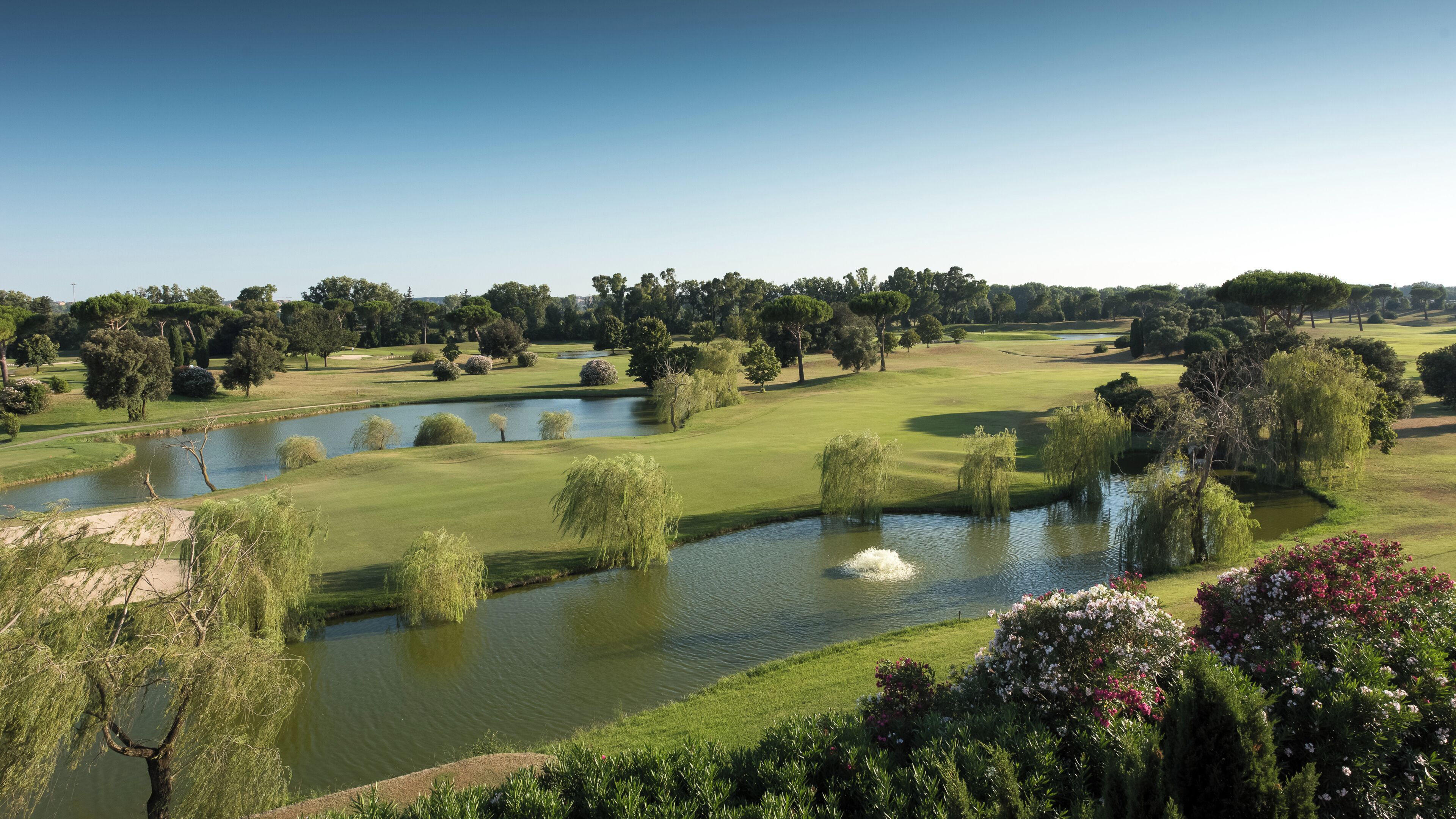 Golfe