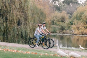 Um casal pedala em uma bicicleta por um caminho ao lado de um lago, com patos em primeiro plano.