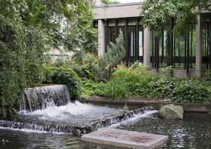 Vista para o jardim