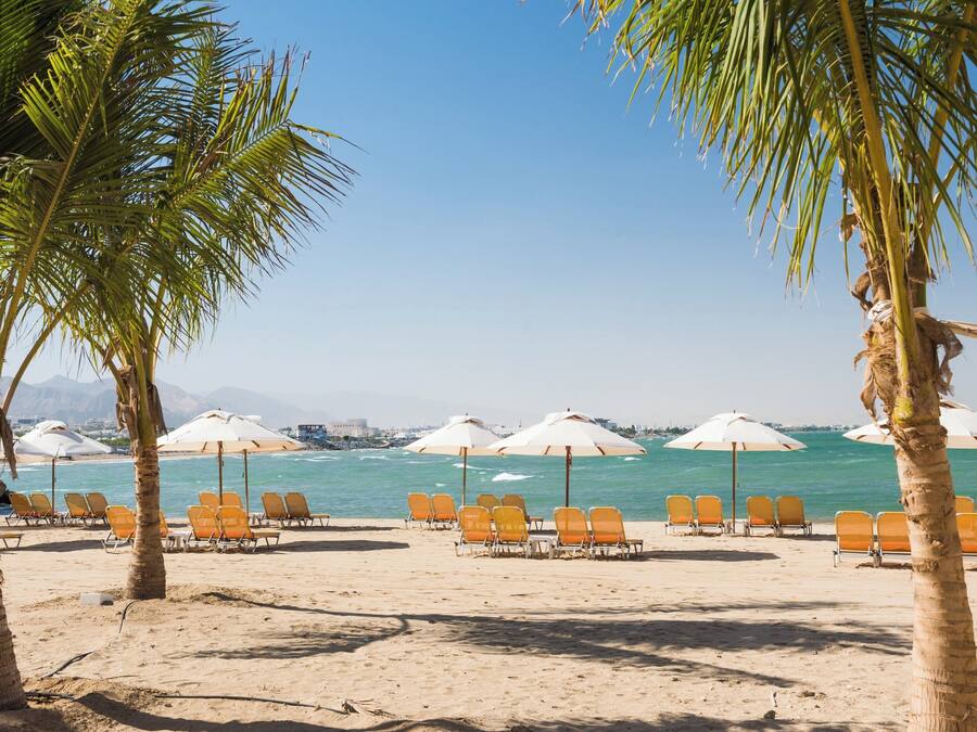 Uma praia com fileiras de espreguiçadeiras e guarda-sóis, palmeiras e vista para o mar e edifícios ao longe.