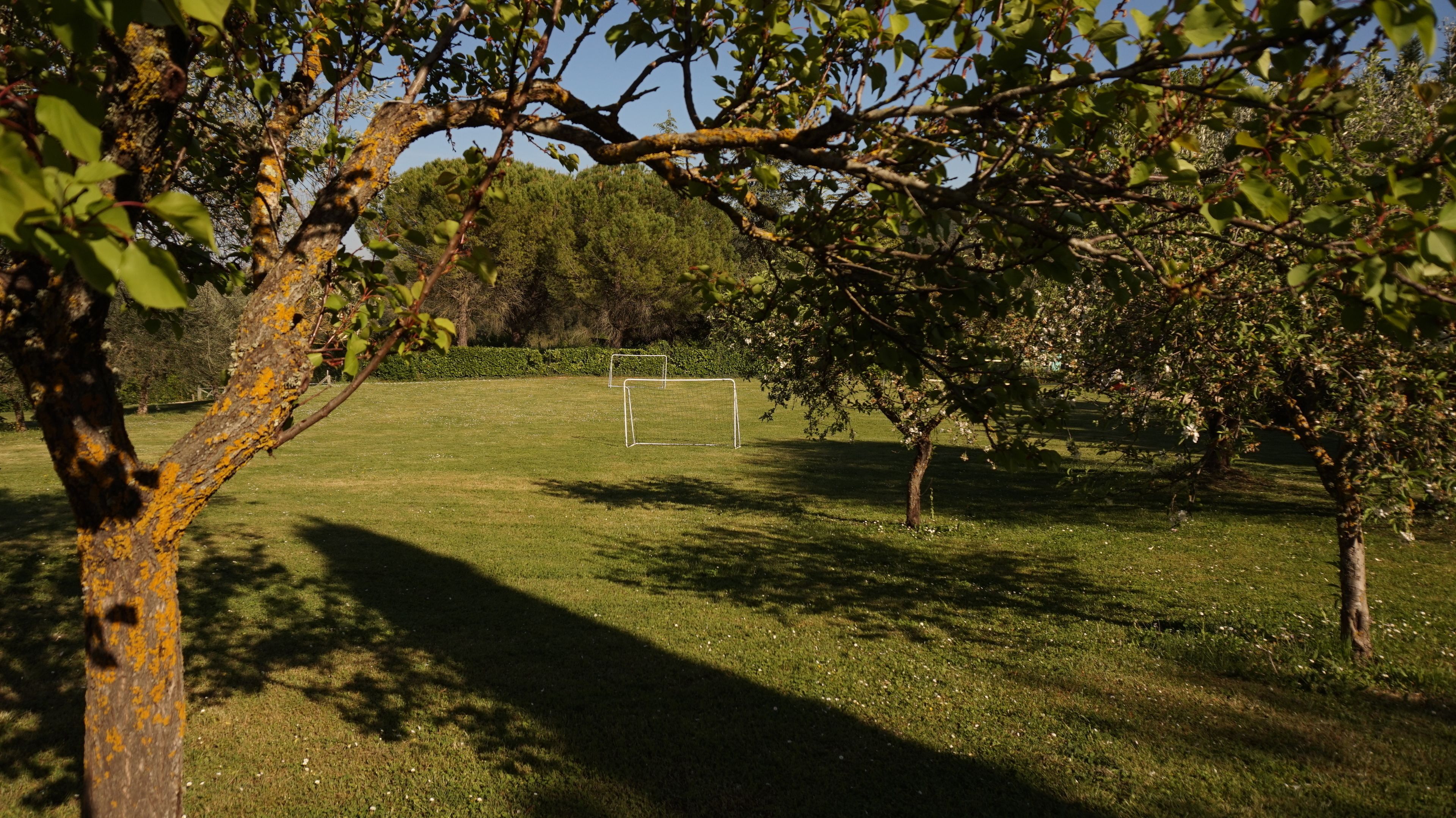 Um campo gramado com um gol de futebol, árvores e uma sebe ao fundo.