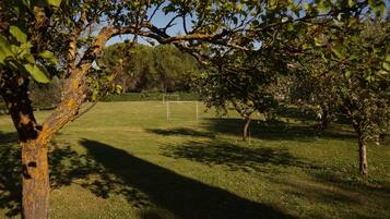 Um campo gramado com um gol de futebol, árvores e uma sebe ao fundo.