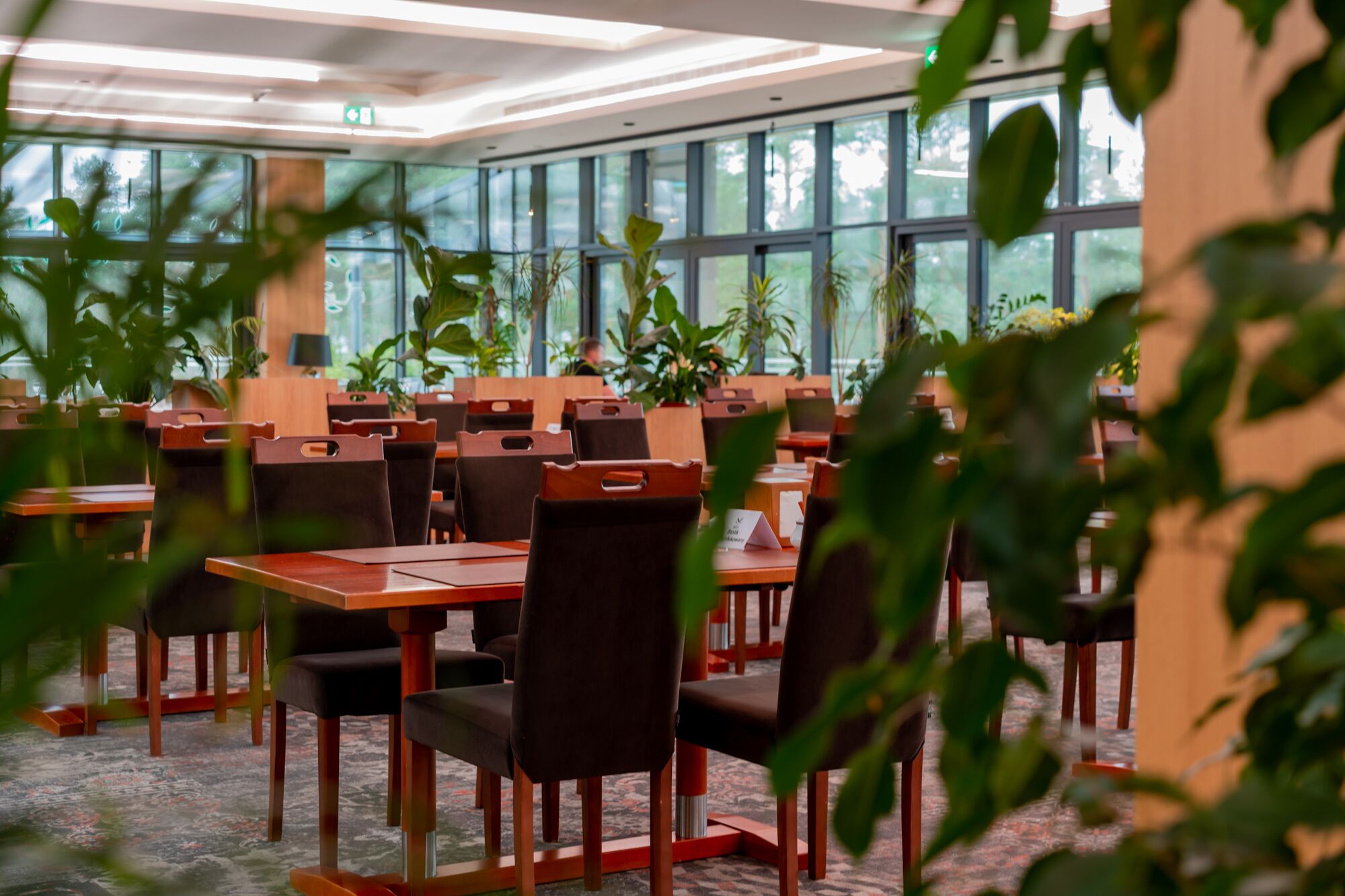 Sala de conferência com mesas, cadeiras, amplas janelas e plantas internas.