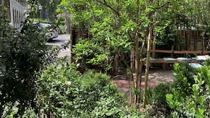 Um jardim exuberante com diversas plantas e árvores, um carro branco estacionado na lateral e uma cerca de madeira ao fundo.