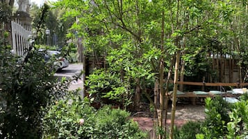 Jardim