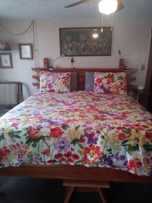 历史史密斯酒店民宿 - 猶他