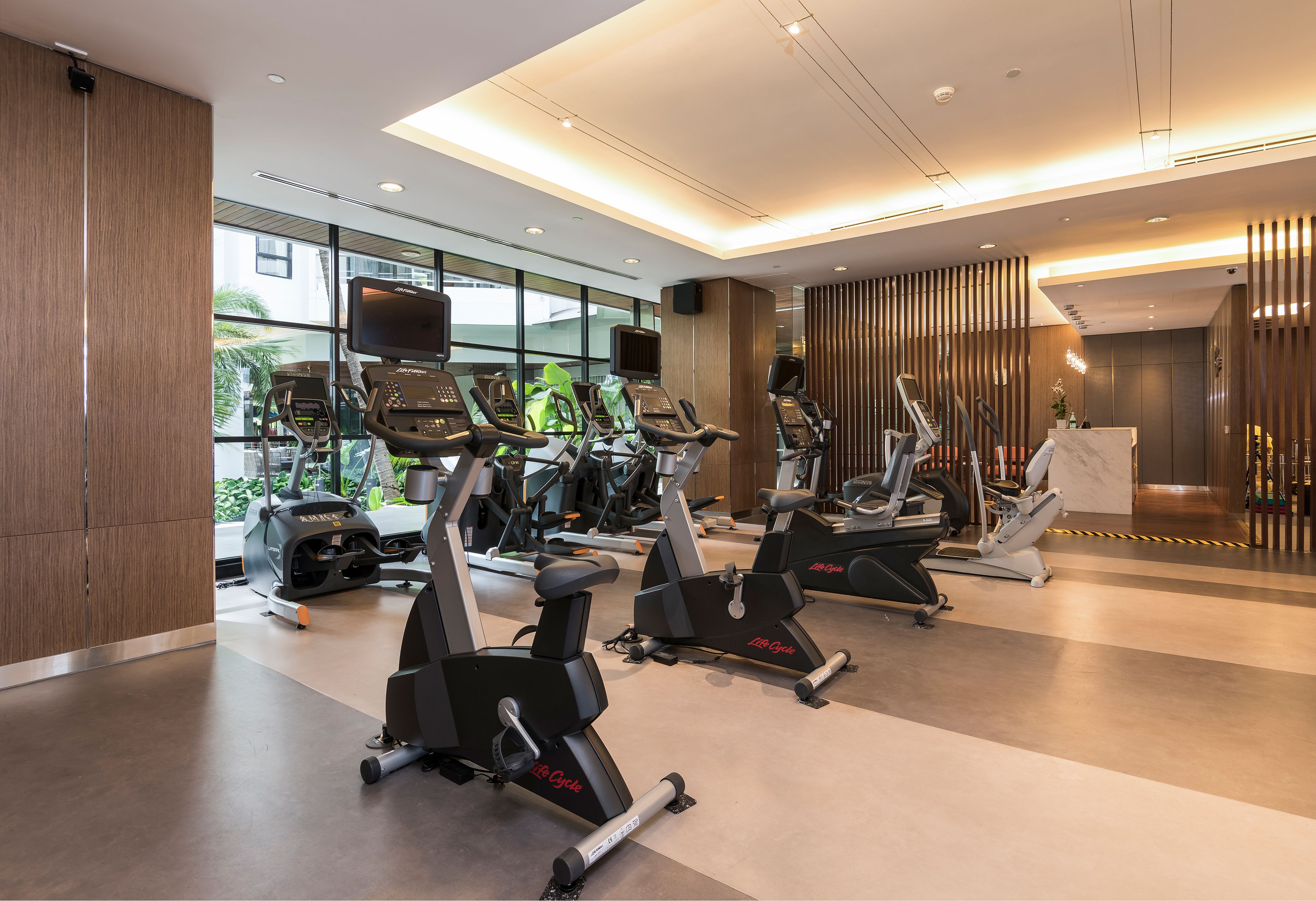 Academia moderna com bicicletas ergométricas, esteira e banco de musculação.
