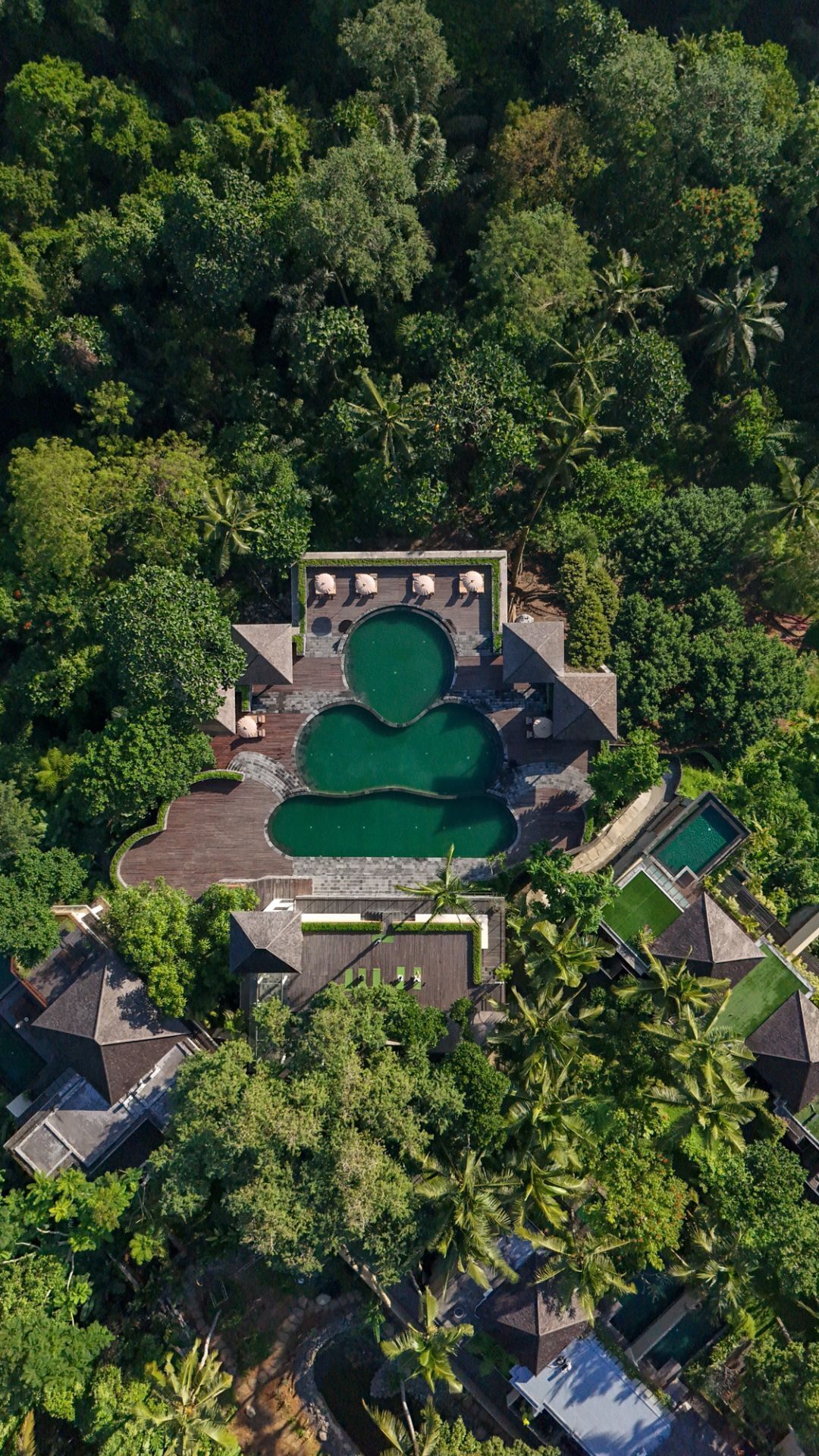 Vista aérea de um resort com várias piscinas, um edifício central e vegetação exuberante ao redor.
