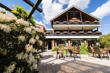 Terraço/pátio interior