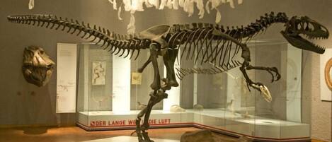 Exposição de museu com um esqueleto de dinossauro grande, um crânio montado e painéis informativos.