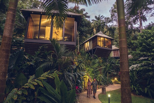 Daintree Ecolodge - Daintree National Park