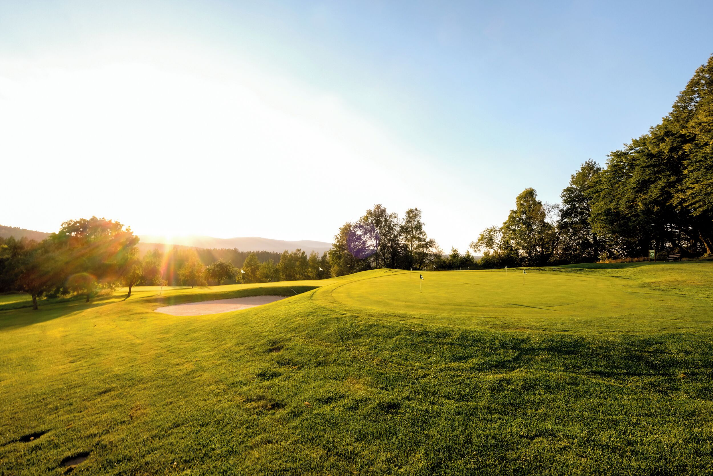 Um campo de golfe com um green bem cuidado, um bunker de areia e árvores ao fundo.
