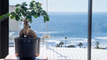 Signature Family Ocean Suite | Parte interna