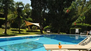 Uma piscina com guarda-sol, espreguiçadeiras e um copo de bebida de laranja sobre uma mesa.