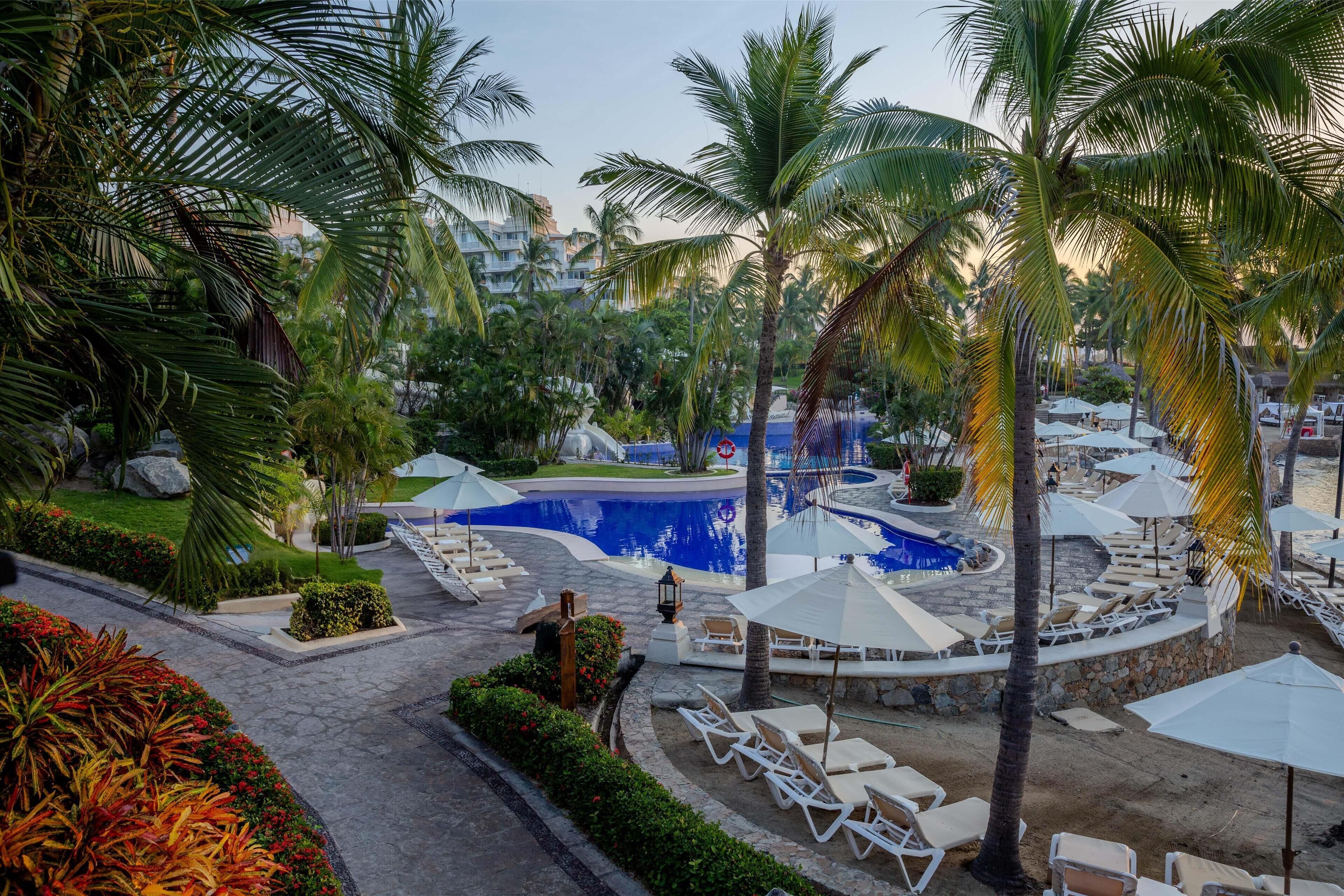 Área de piscina do resort com espreguiçadeiras e guarda-sóis, cercada por palmeiras e um jardim bem cuidado.
