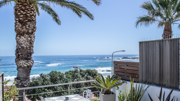 Terraço com vista para o oceano, com uma palmeira, móveis de exterior e plantas em vasos.