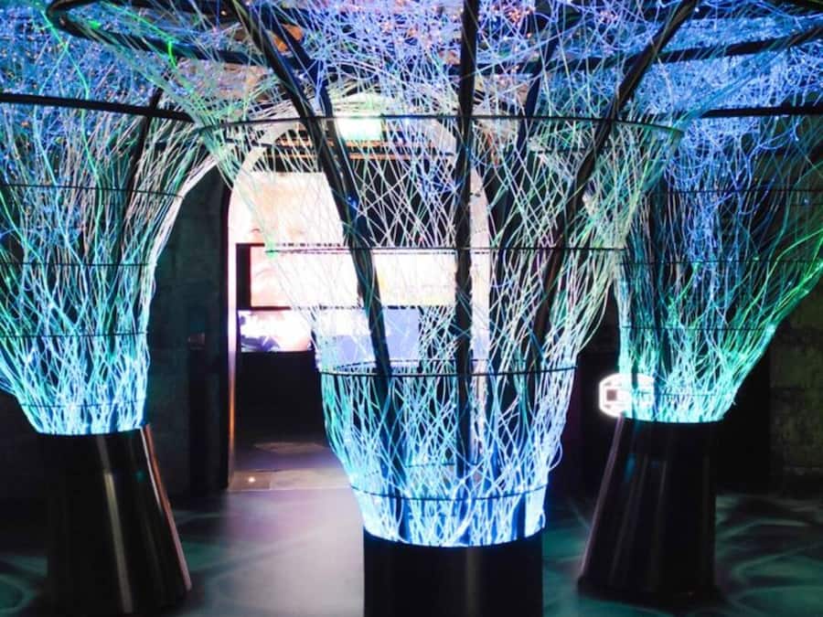 Instalação de arte moderna com estruturas iluminadas que lembram árvores em uma galeria.