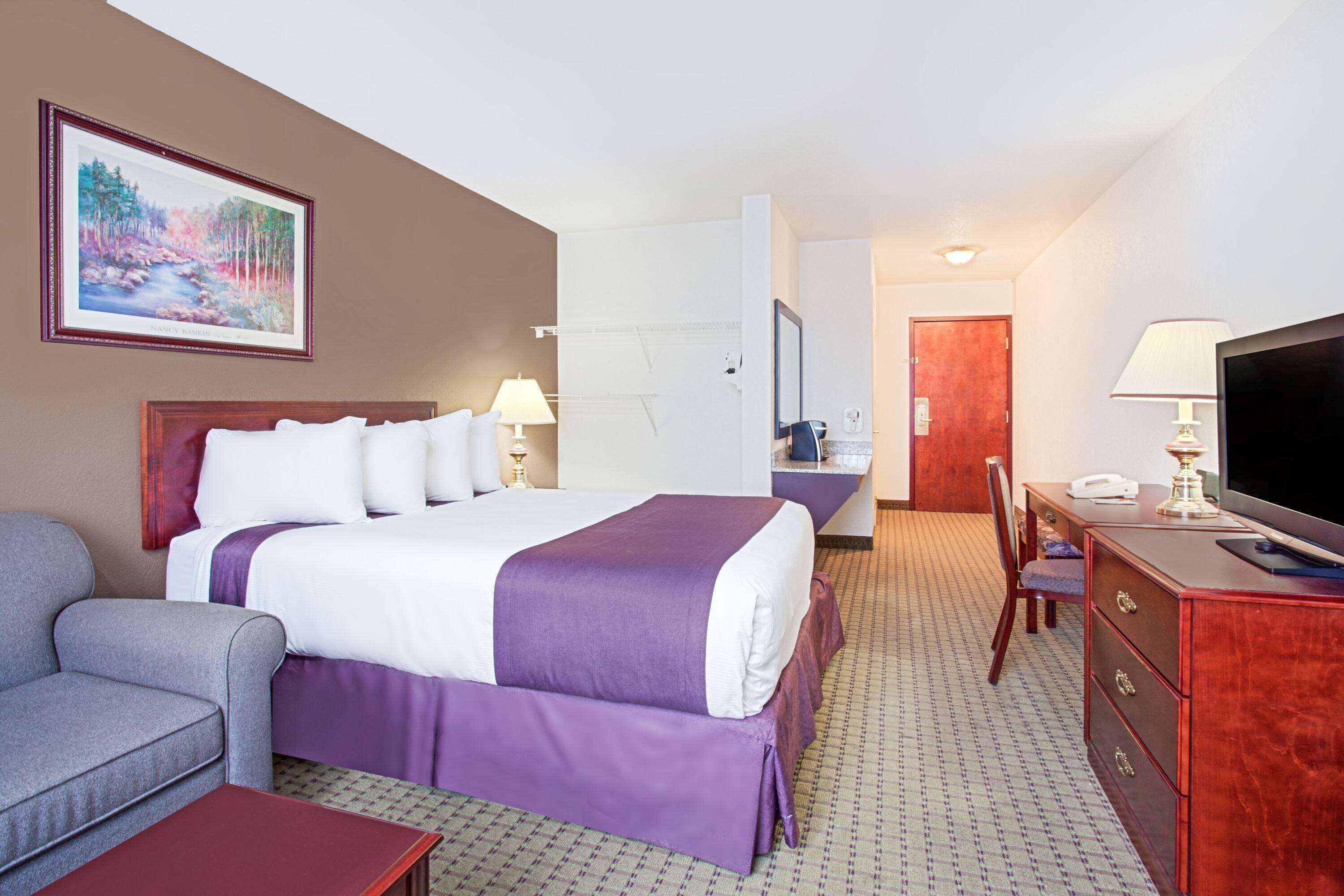 Quarto de hotel com uma cama grande, uma escrivaninha, uma televisão e um quadro na parede.