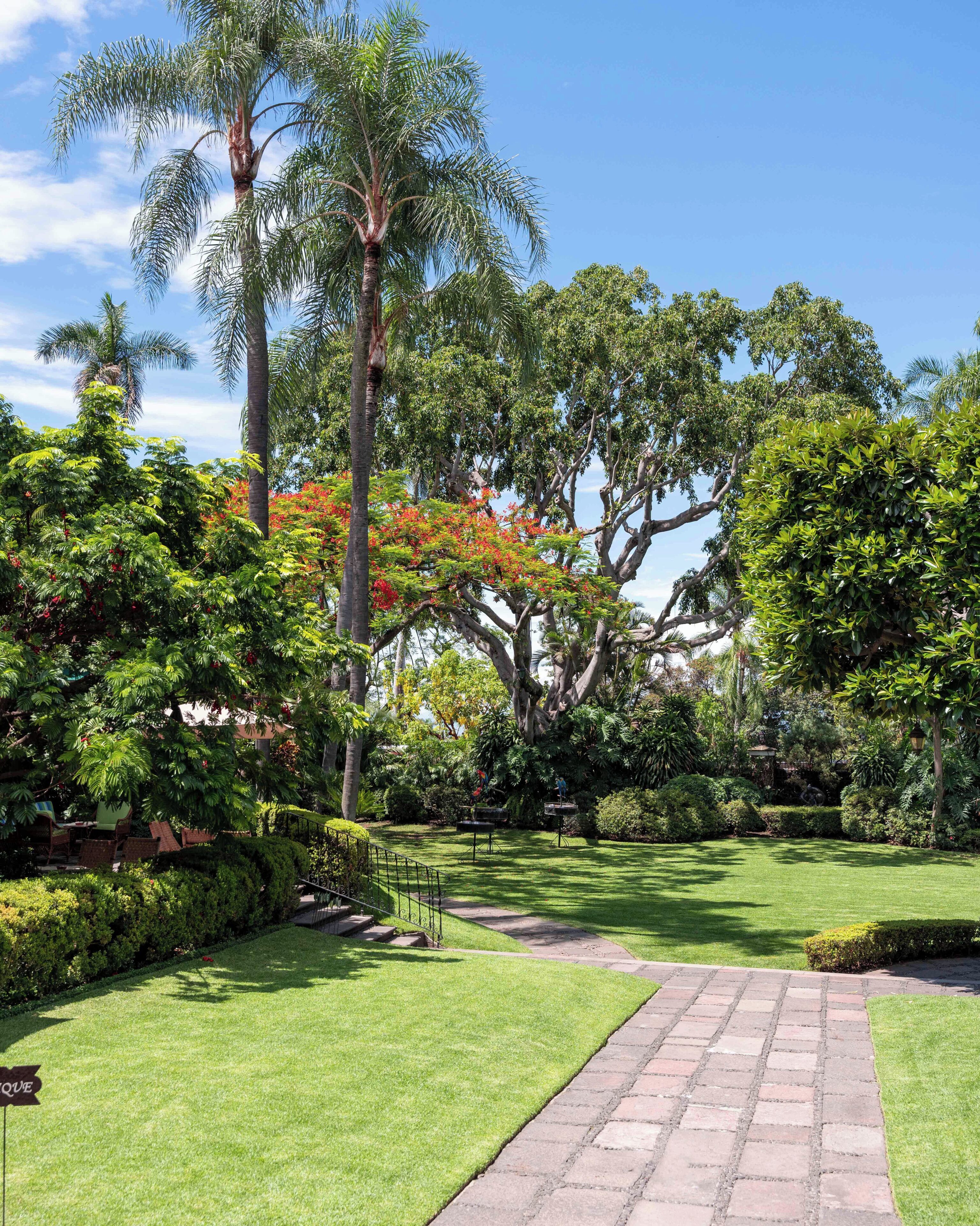 Um jardim bem cuidado com um caminho pavimentado, vegetação exuberante e árvores altas.
