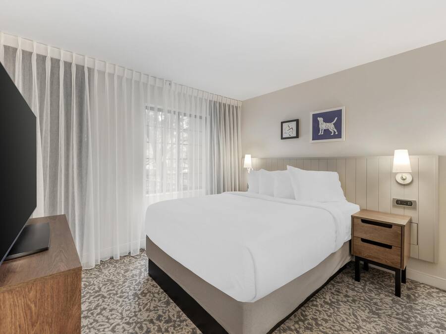 Quarto de hotel com uma cama grande, uma televisão em suporte de madeira, mesa de cabeceira com abajur e janela com cortinas leves.