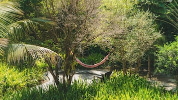 Jardim
