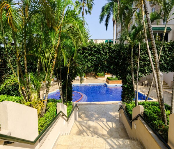 Área de piscina com escadas que descem até ela, cercada por palmeiras e vegetação.
