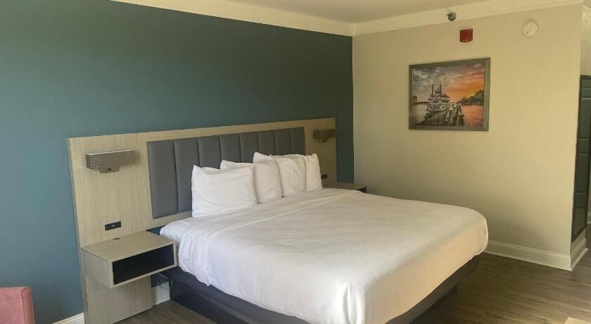 Roupa de alta qualidade, secretária, cortinas/cortinados opacos 
