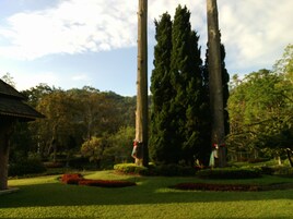 Vista para o jardim