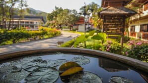 Um lago com folhas de nenúfar e uma estrutura de madeira num jardim com plantas, e um edifício ao fundo.