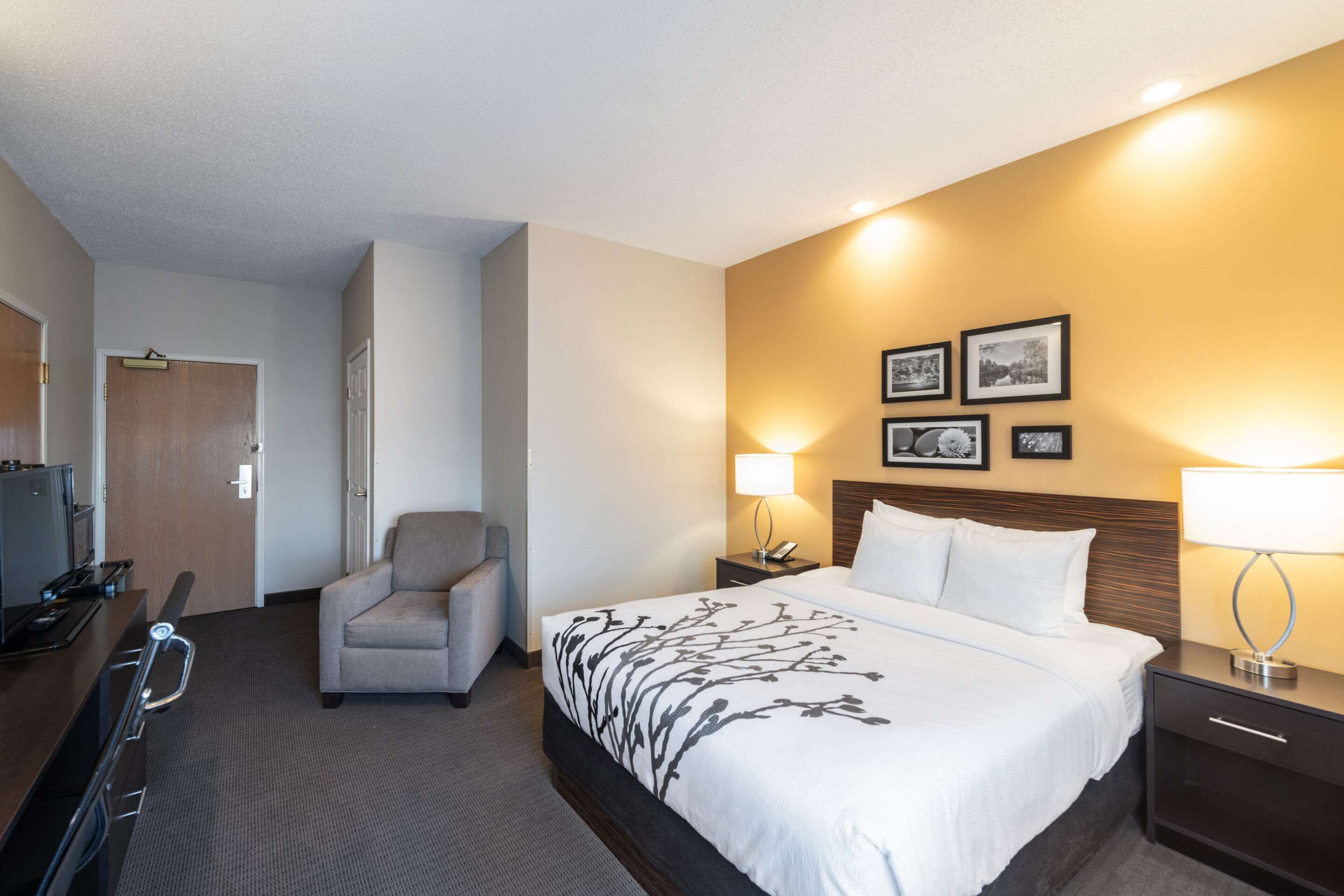 Quarto de hotel com cama, mesas de cabeceira, uma cadeira, escrivaninha e televisão.