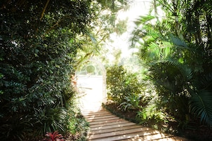 Jardim