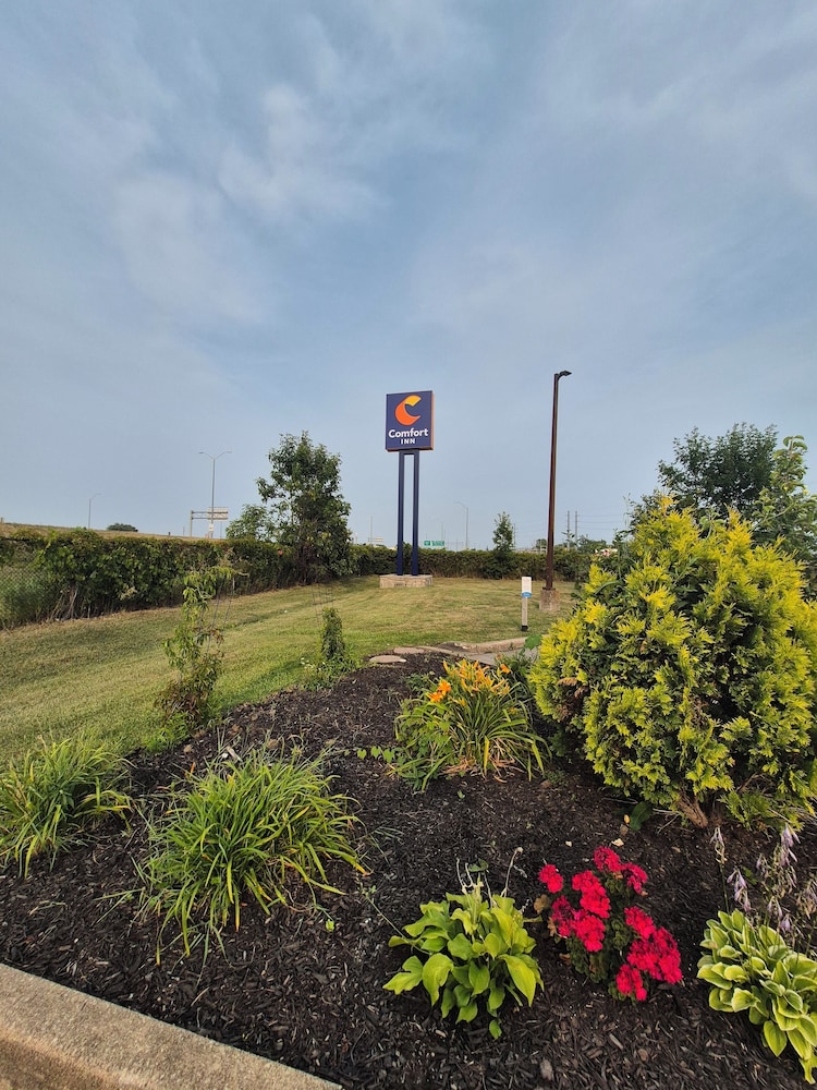 Comfort Inn - Buffalo, NY