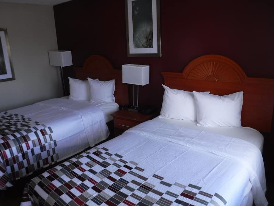 A hotel room with two beds, each with white bedding and a checkered blanket. There is a nightstand with a lamp between the beds.