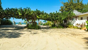 Uma trilha de areia leva a um edifício branco com um guarda-sol verde, cercado por vegetação exuberante e árvores.