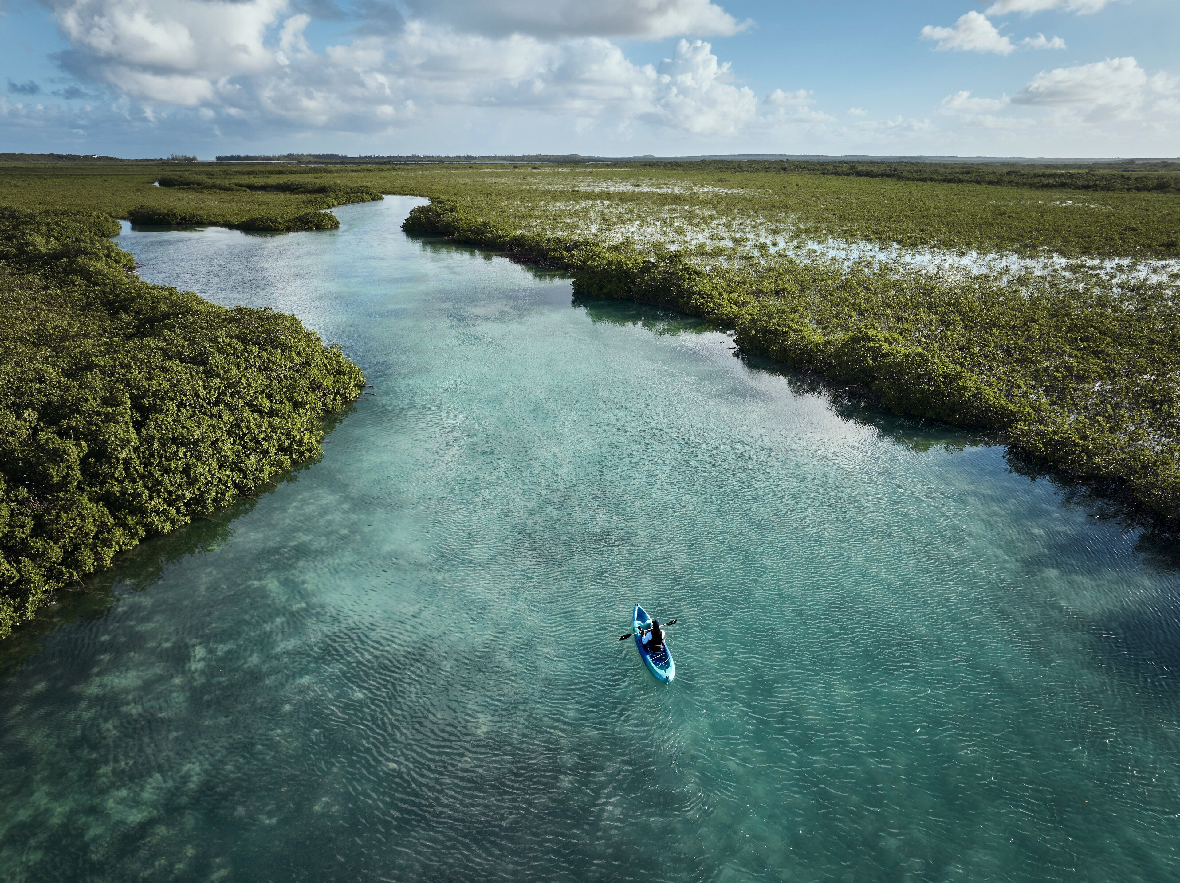 Um caiaqueiro num rio calmo, cercado por vegetação densa de mangue.