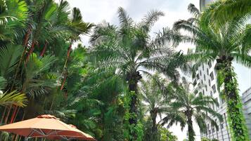 Piscina externa, espreguiçadeiras