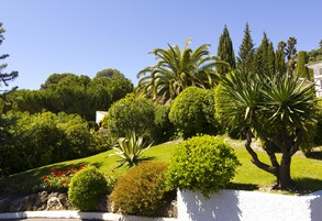 Área da propriedade