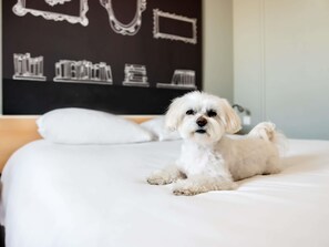 Quarto Standard, várias camas (Family) | Roupa de alta qualidade, cortinas/cortinados opacos 