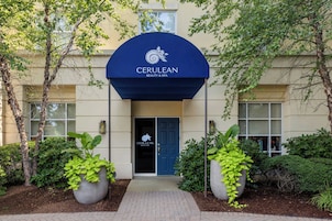 Entrada de um edifício com toldo azul exibindo o nome 'CERULEAN BEAUTY & SPA'.