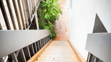 Uma escada de madeira leva a uma porta, com uma parede branca e uma planta ao lado.