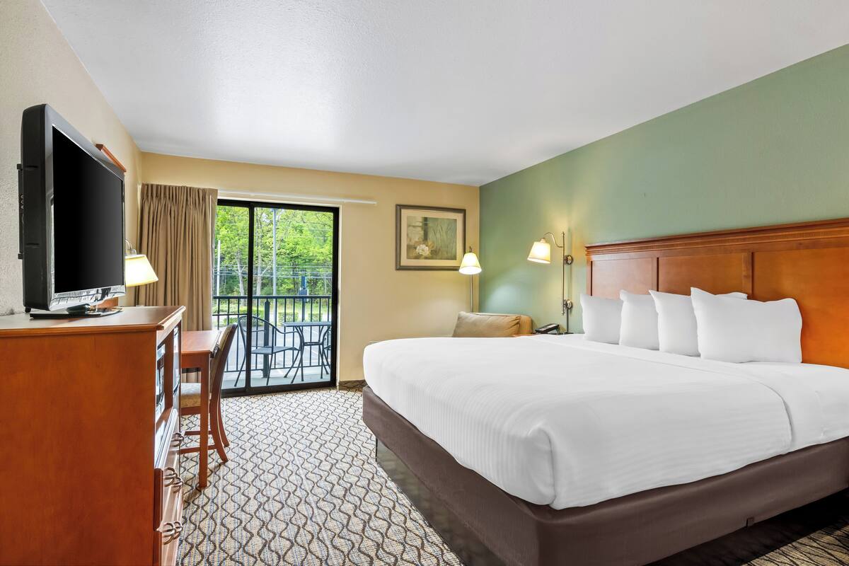 Quarto de hotel com cama, escrivaninha, televisão e varanda com vista para o verde.