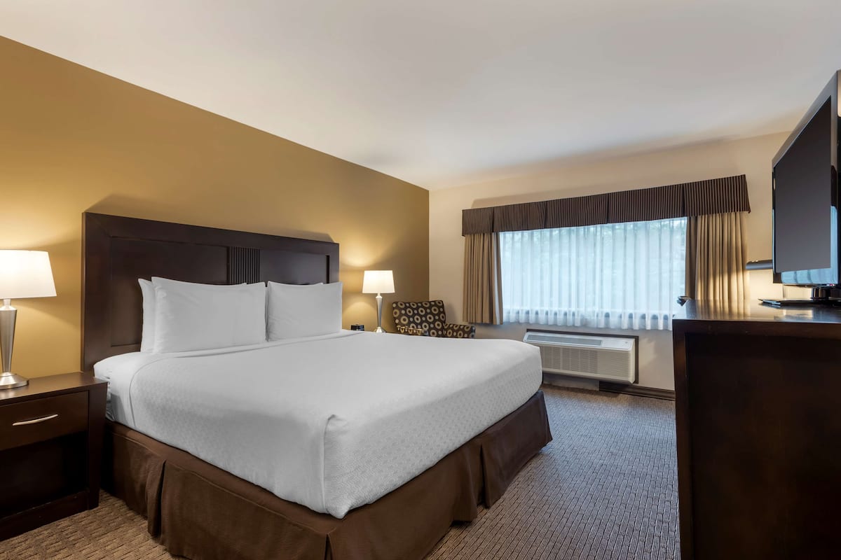 Quarto de hotel com uma cama grande, duas mesas de cabeceira com luminárias, uma televisão, uma escrivaninha e uma janela com cortinas.